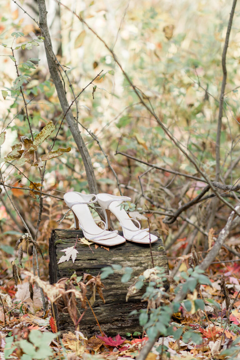 A Sustainable Autumn Elopement in Ontario | Shaz & Adam
