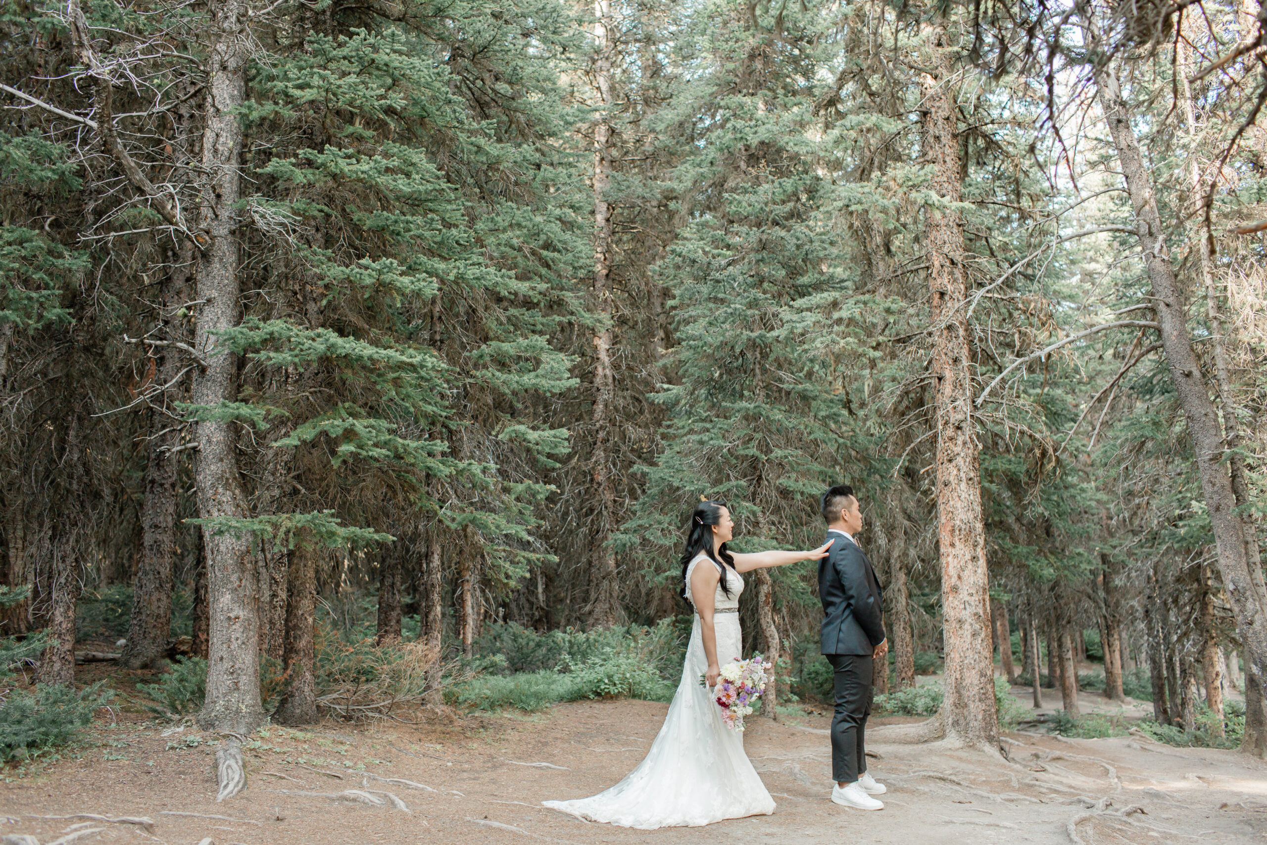 How To Elope In Banff National Park